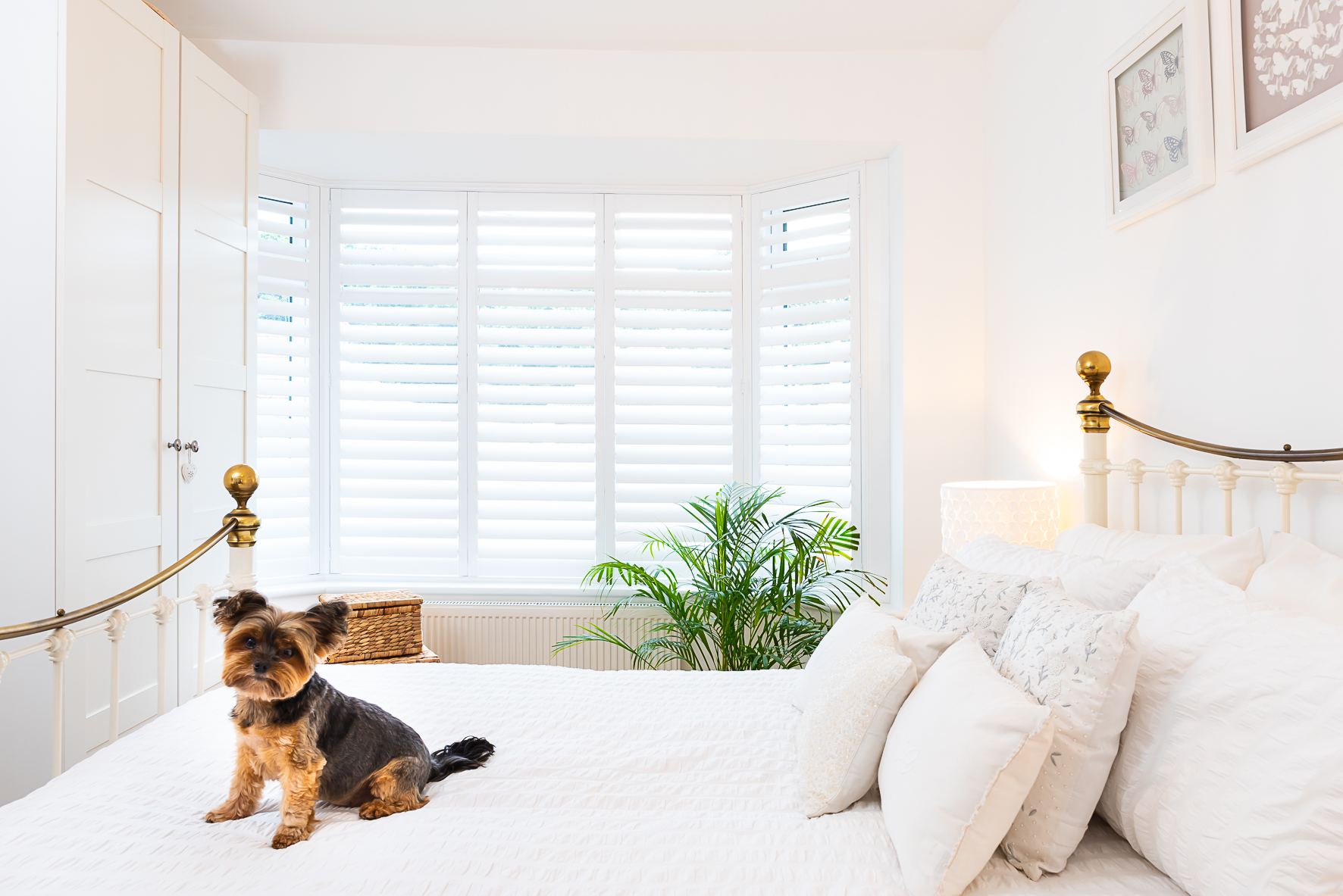 A Guide To Shutters For Bay Windows | Just Shutters